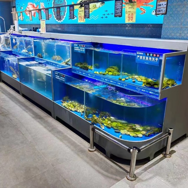 Seafood Tanks for Commercial Use in Restaurants, Hotels, Supermarkets ...