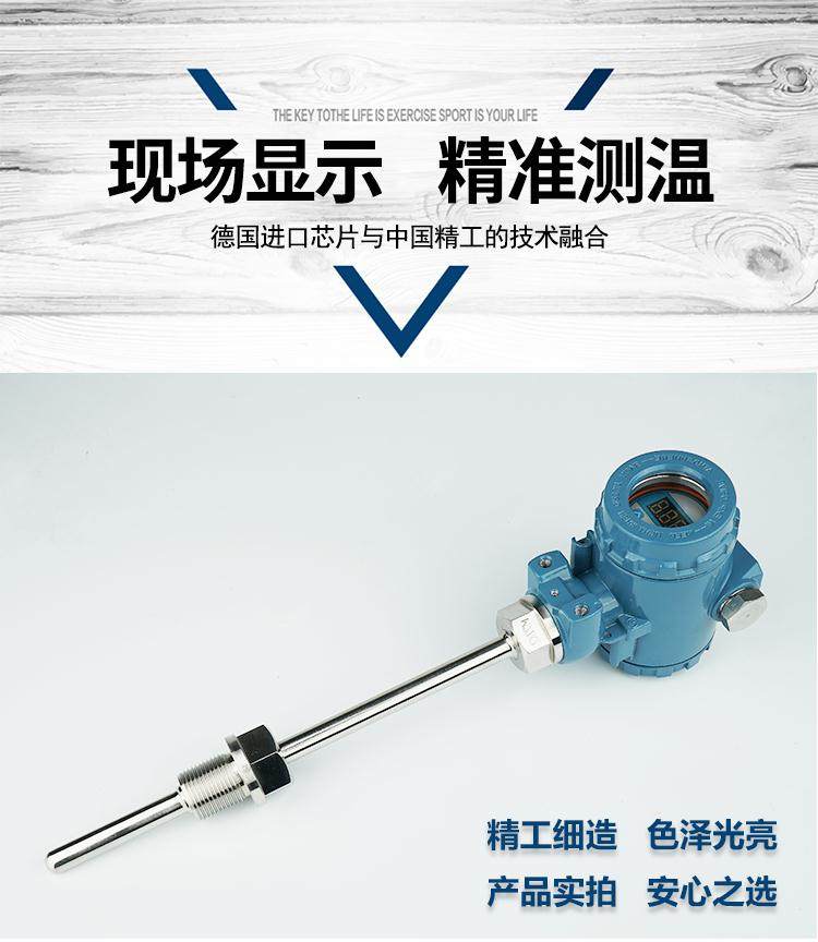 Explosion-Proof Integrated Temperature Transmitter | 4-20mA Digital ...