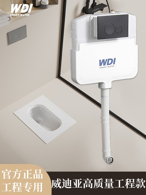Wdi Embedded Wall-Mounted Hidden Water Tank Invisible Squat Toilet ...