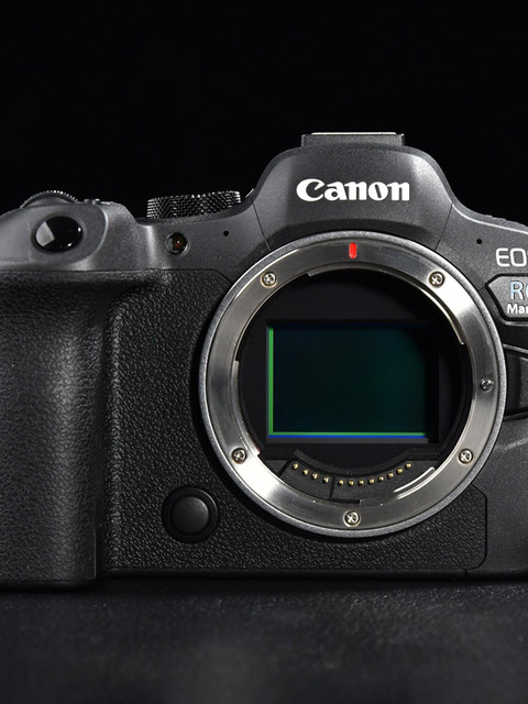 Canon EOS R6 Mark II professional full frame micro single camera R62 ...