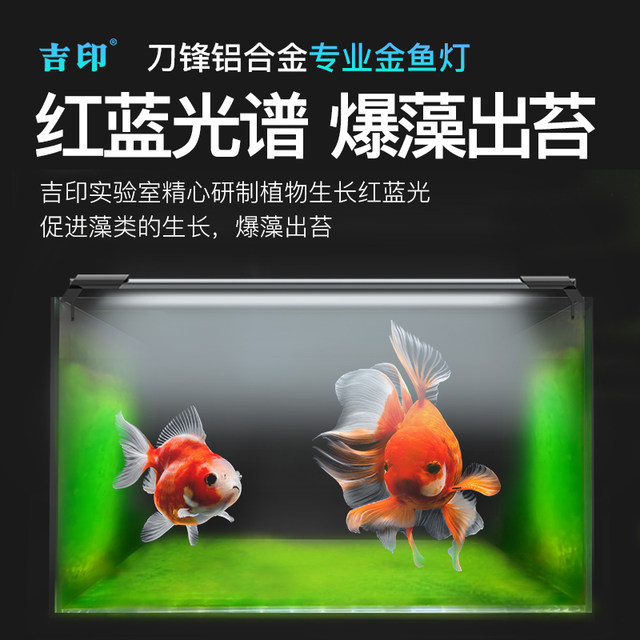 Jiyin goldfish lamp LED waterproof fish tank lamp full spectrum algae ...