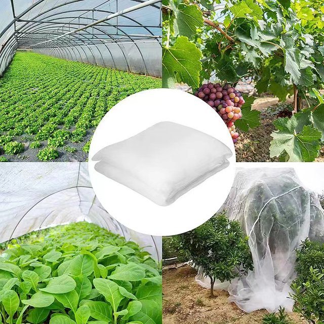 Thickened encrypted greenhouse special insect-proof net agricultural ...