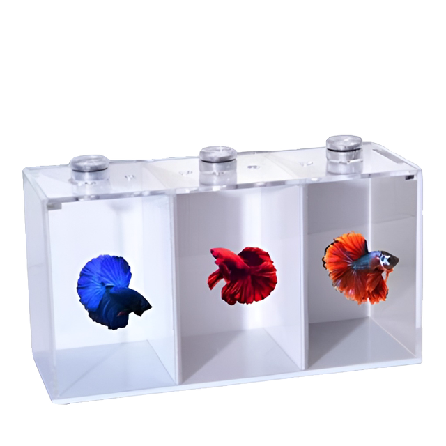 Acrylic Thai Douyu Tank Organic Glass Desktop Office Small ornamental ...