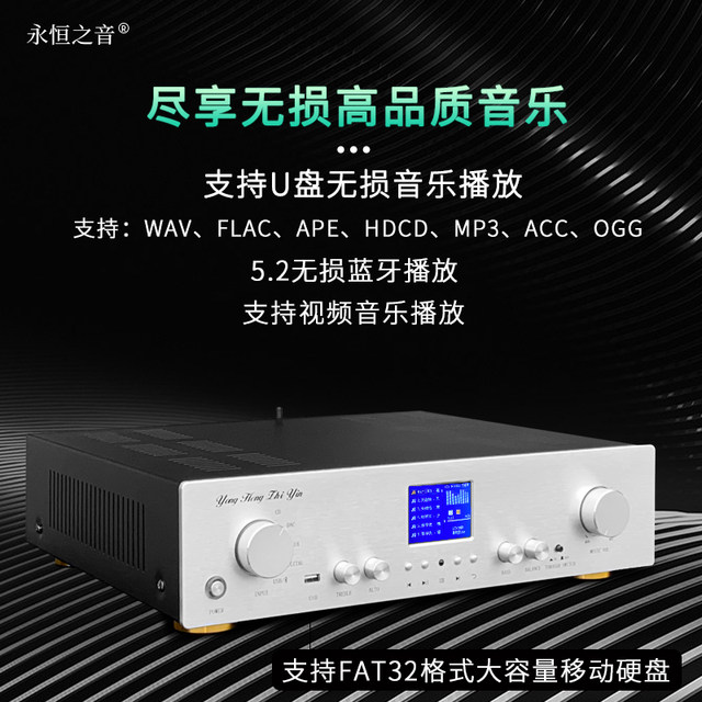 Eternal Sound A1 upgraded hifi audio high-power amplifier supports ...