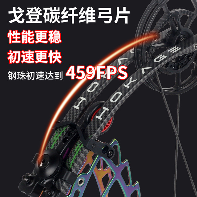 Villain dual-purpose bow outdoor high-precision steel ball archery ...