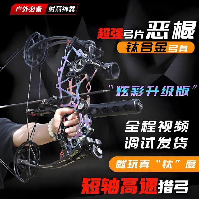 Villain dual-purpose bow outdoor high-precision steel ball archery ...