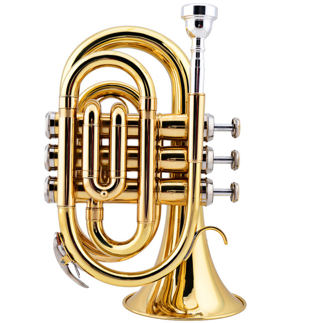 Jazz Long's palm-nut portable trumpet beginners playing universal B ...