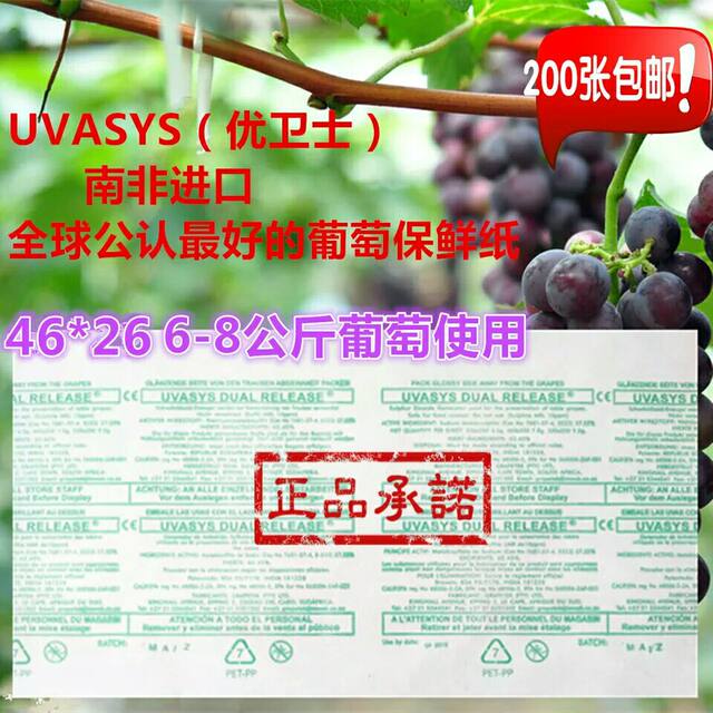 Sunshine Rose South Africa Excellent Guard imported grape cling paper ...