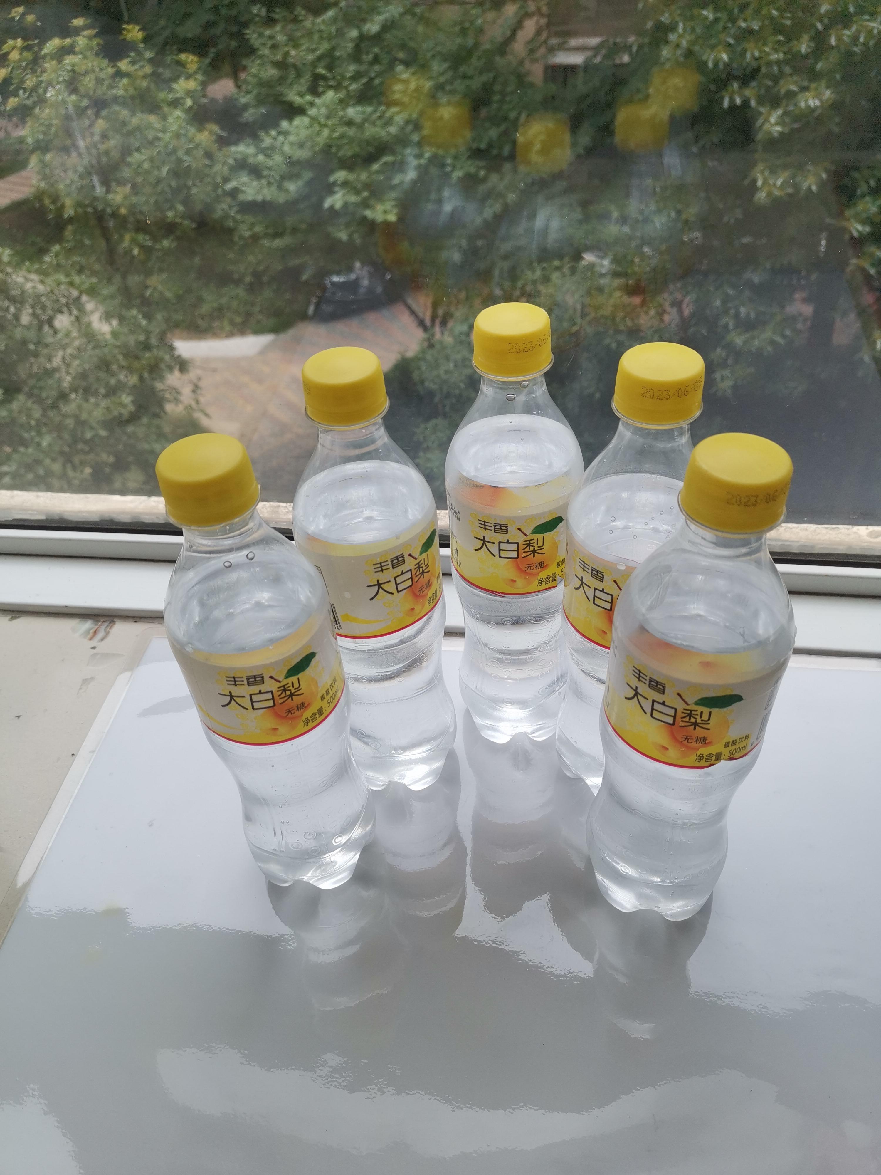 500ml*10瓶大连汽水怀旧汽水80老汽水老饮料荔枝橘子水蜜桃大白梨-Taobao