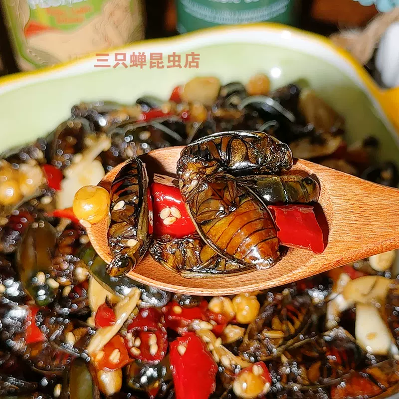 CNA shows u how to eat insects with Nasi Legal | Page 3 | HardwareZone ...