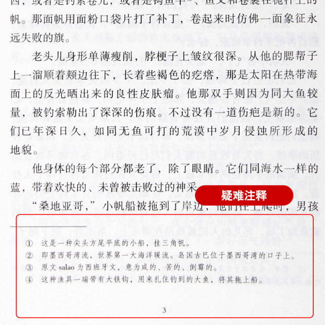 The Old Man and the Sea + Notre Dame de Paris + Jane Eyre + Wuthering ...