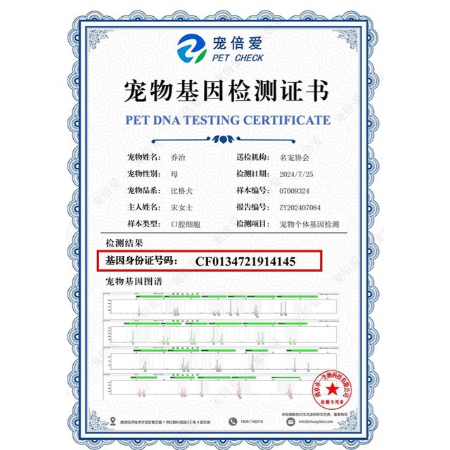 Pet Genetic Testing Genetic Identification Cat and Dog Genetic ID Card ...