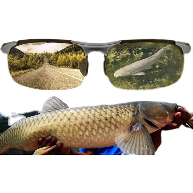 Recommended by Deng Gang] Fishing glasses visible three meters ...