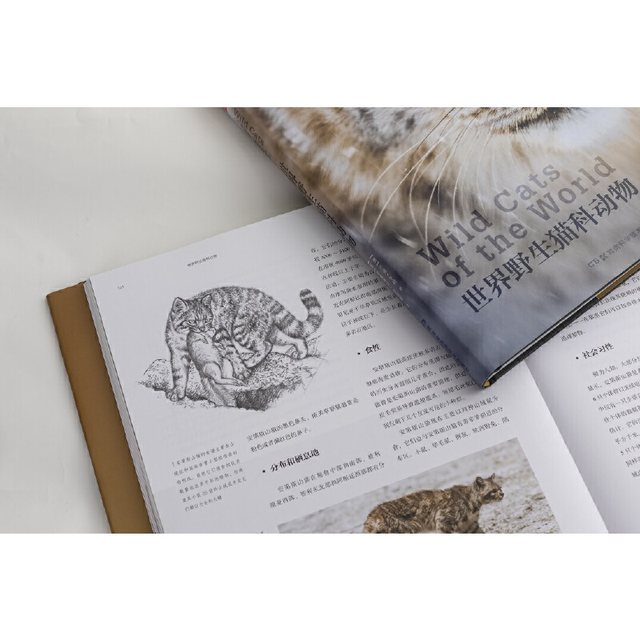 Wild Cats of the World A collectible wild big cat family tree album ...