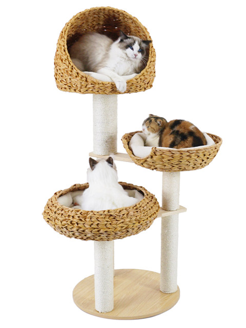 Lvoshangshi Wooden Pillar Kitzata Cat Climbing Shelf with a provincial ...