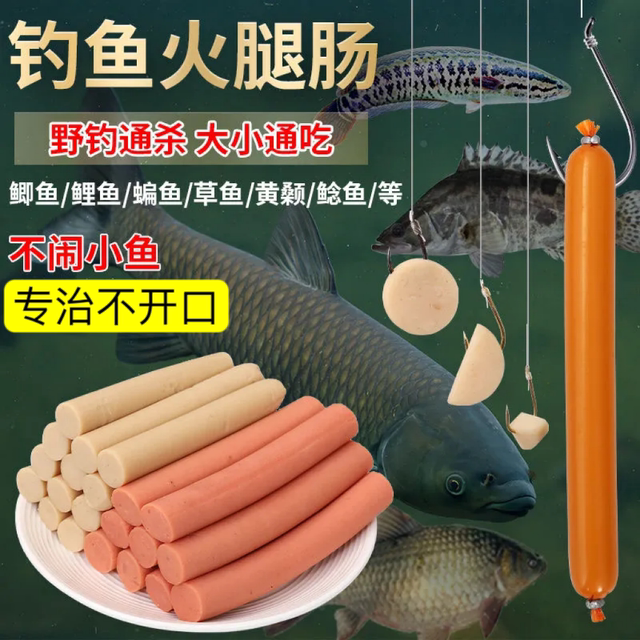 Fishing ham fish bait wild fishing kill crucian carp carp grass carp ...