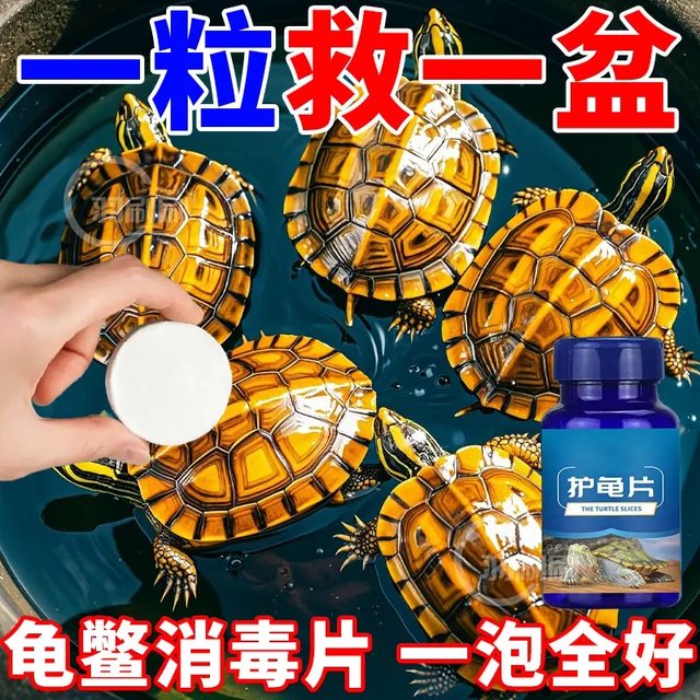 Turtle Protective Tablets, Turtle Disinfectant Tablets, Specially Treat ...