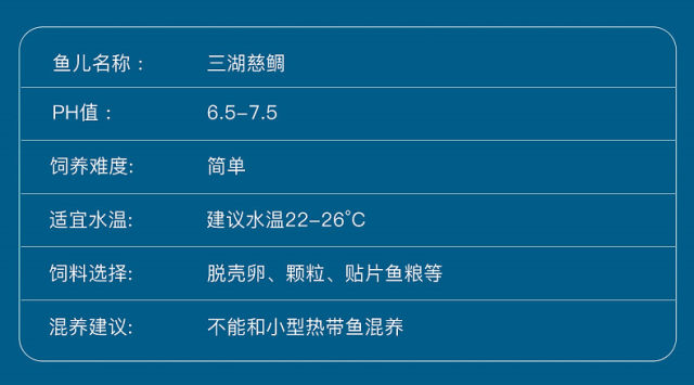 Imported Taiwanese tan cichlid, Saylan, six-room Ibaka, six-room ...