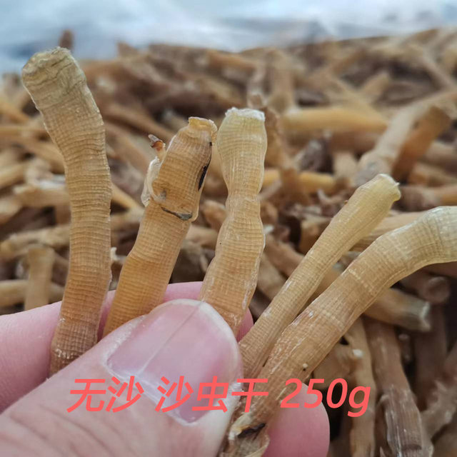 Fishermen's homemade dried sandworms 250g without rinsing [Marine ...