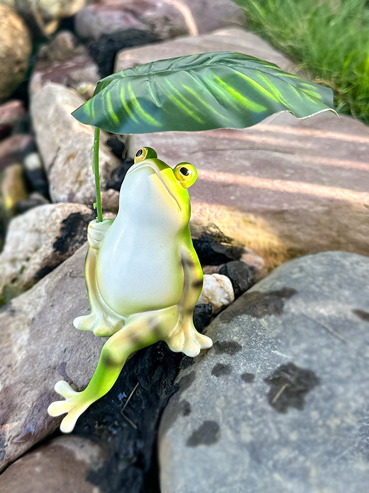 Hold an umbrella to enjoy the coolness of the frog, balcony, courtyard ...