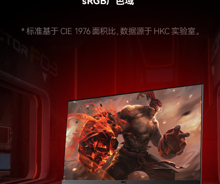 HKC 24-Inch 165Hz Gaming 2K IPS Display | External Notebook Screen VG245