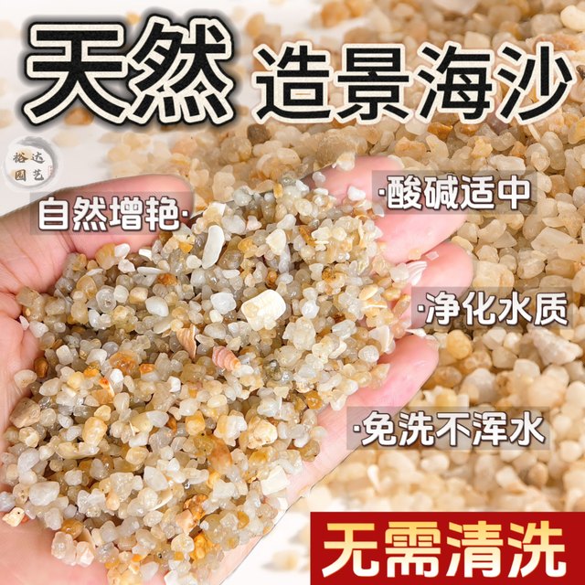 No-wash fish tank bottom sand natural washed sea sand landscaping ...
