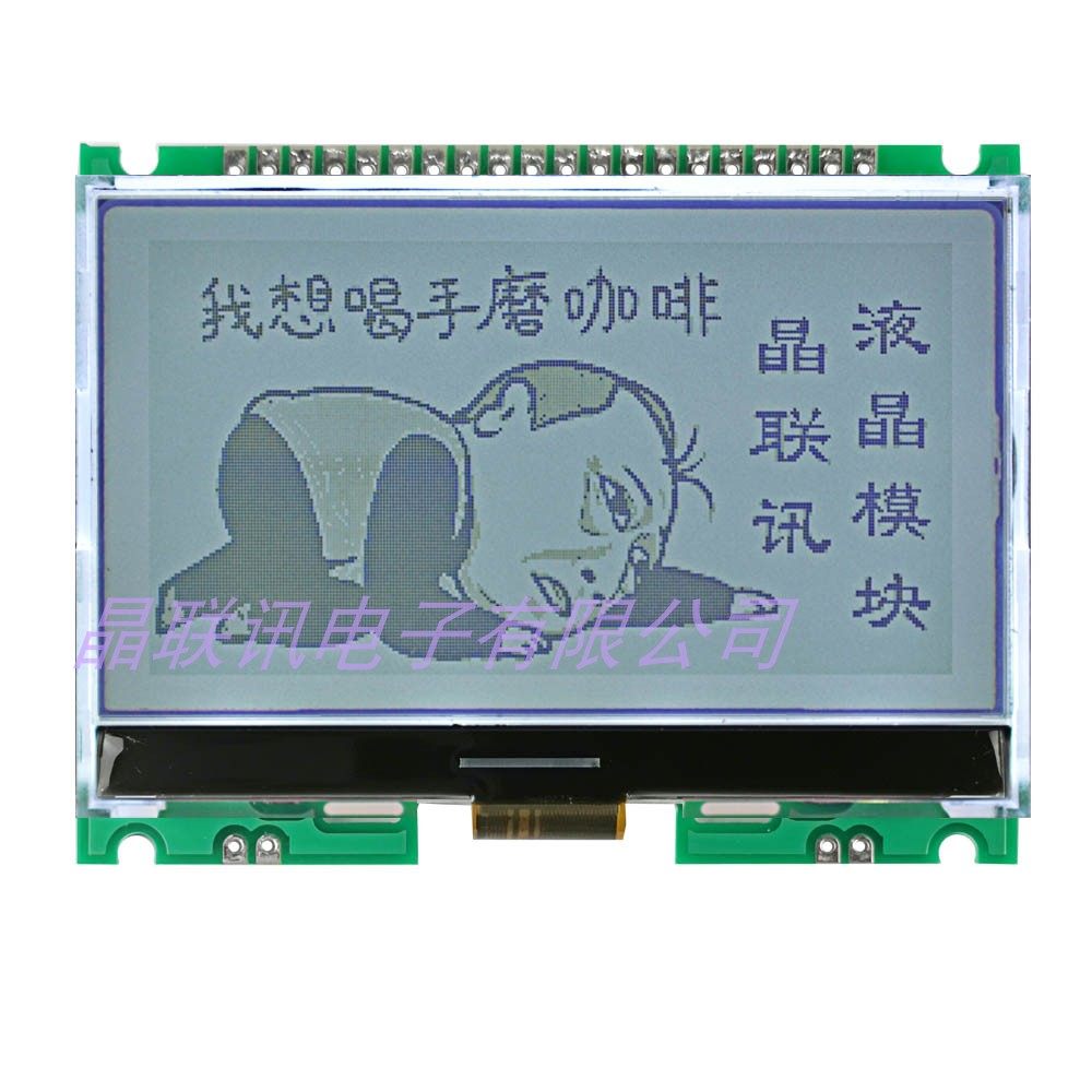 256128G-920 LCD Module | High Dot Matrix 256x128 Black and White Screen