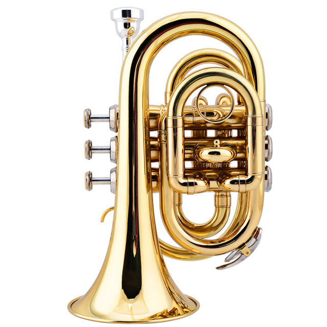 Jazz Long's palm-nut portable trumpet beginners playing universal B ...