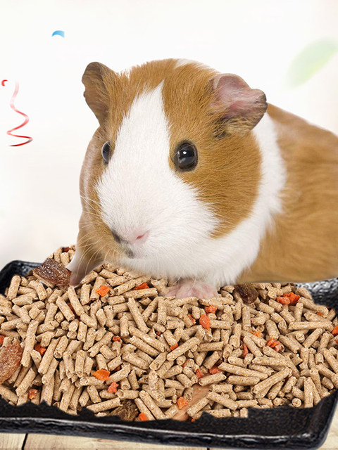 Dutch pigs and guinea pigs special grain feed grains and grass Dutch ...