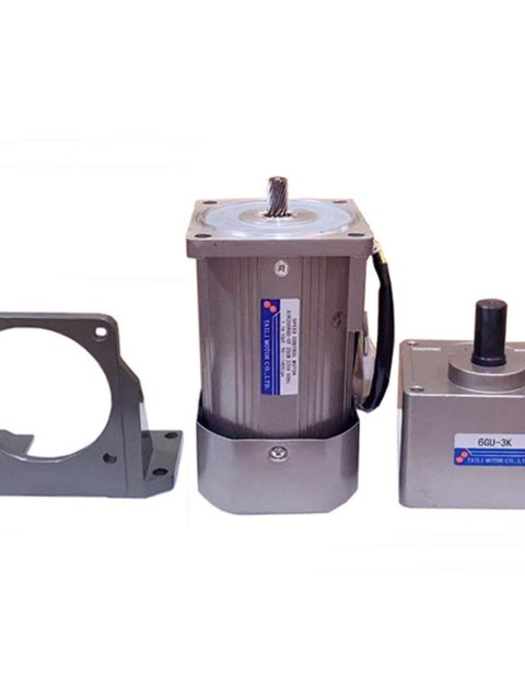 Taili Motor 250W Speed Regulating Speed Motor AC 220V Single-phase ...