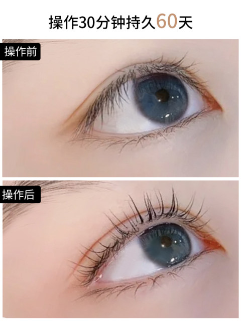 Kiss eyelash keratin set, eyelash gingeratin set, cold-silence, self ...