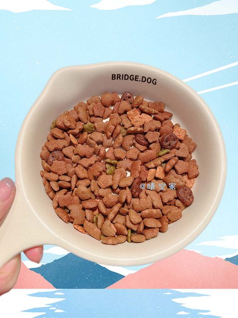 Imported from Japan, Samsung Silver Spoon Teeth Cleaning Cat Biscuits ...