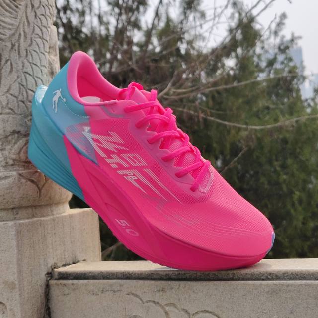 Jordan Feiying PB5.0I Professional Marathon Racing Full Palm Carbon ...