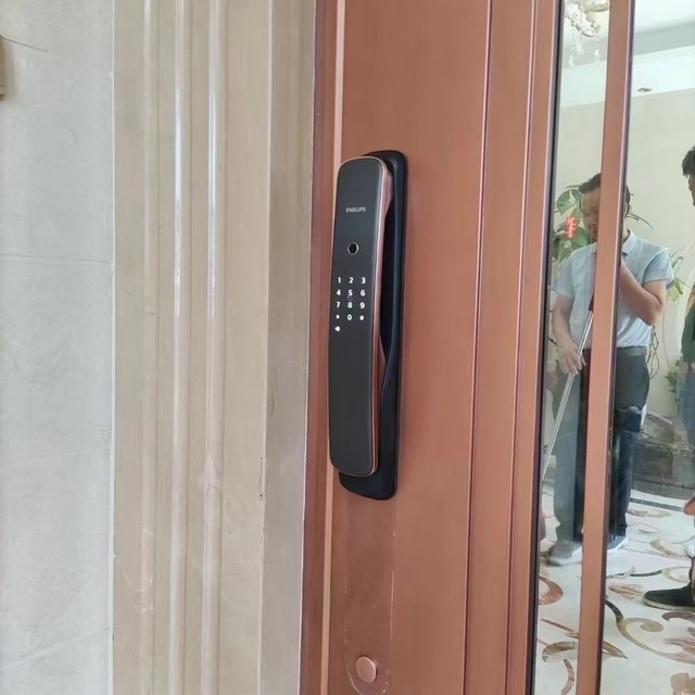 702E fingerprint lock smart lock anti-theft door 702 face recognition 702 visual monitoring cat ...