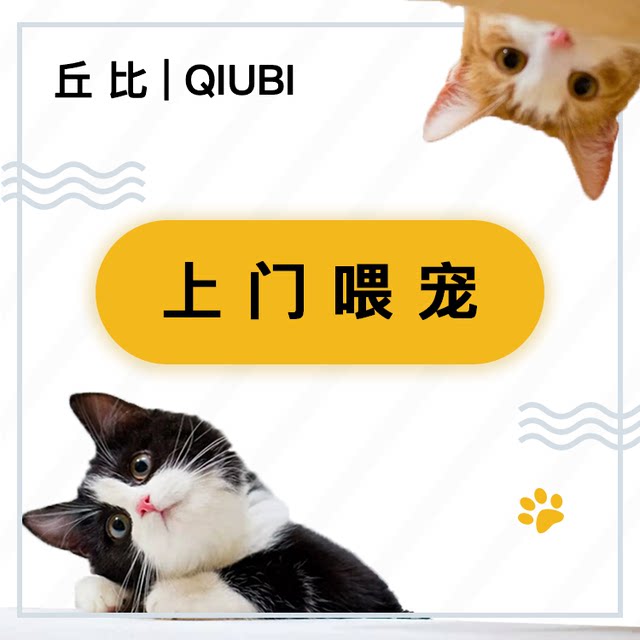 Special pet Cupi in Beijing to feed cats and dogs to feed pets to feed ...