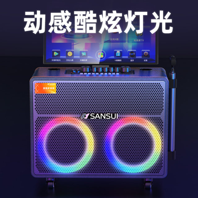 Shanshui MD289 outdoor mobile karaoke audio with display screen home ...