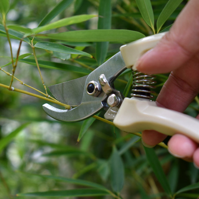 Hongchen Garden Pruning Scissors Taiwan 130T Flower Pruning Branch ...