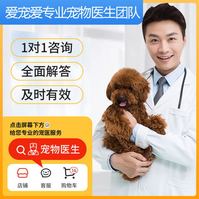 Pet Doctor Consultation for Cats and Dogs, Pet Hospital Veterinarian ...