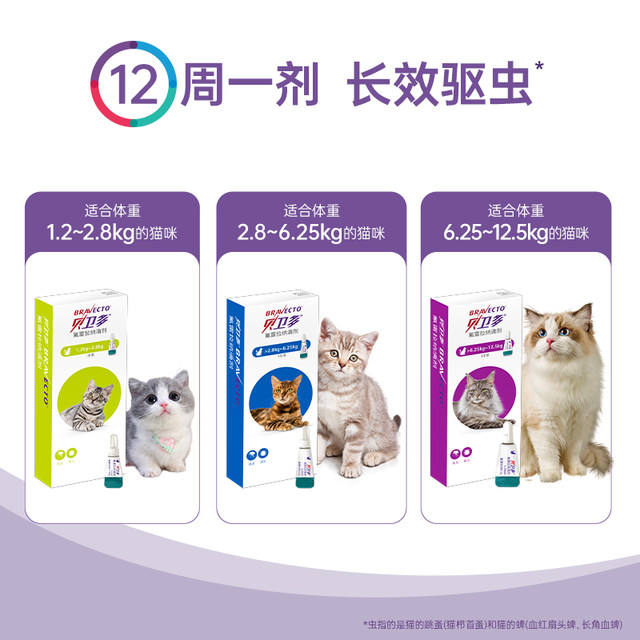 Beiwei Multi-Parasitic Drug for Cats and Dogs, External Deworming Drops ...