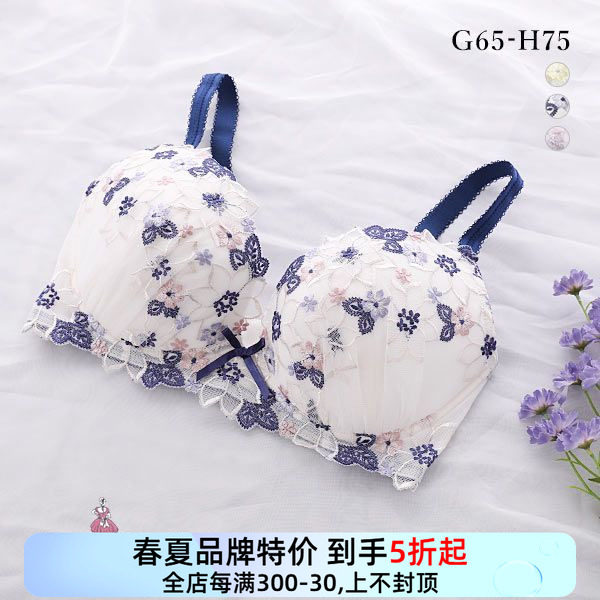 Risa Magli large size underwear push-up concentrated side breasts lace ...