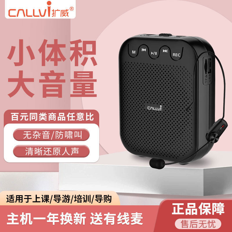 Callvi u237 소형 꿀벌 무선 스피커 | 교사용 마이크
