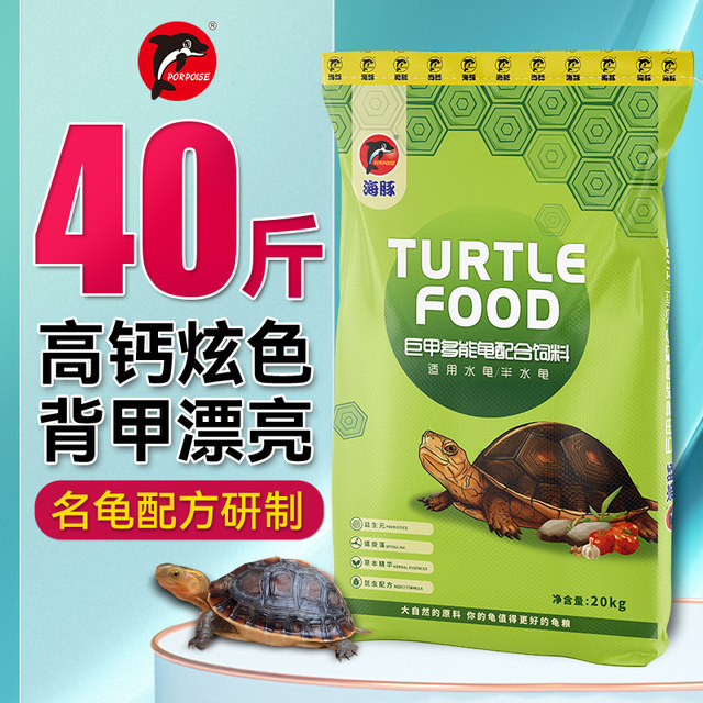 Dolphin color turtle food turtle food grass turtle stone money turtle ...