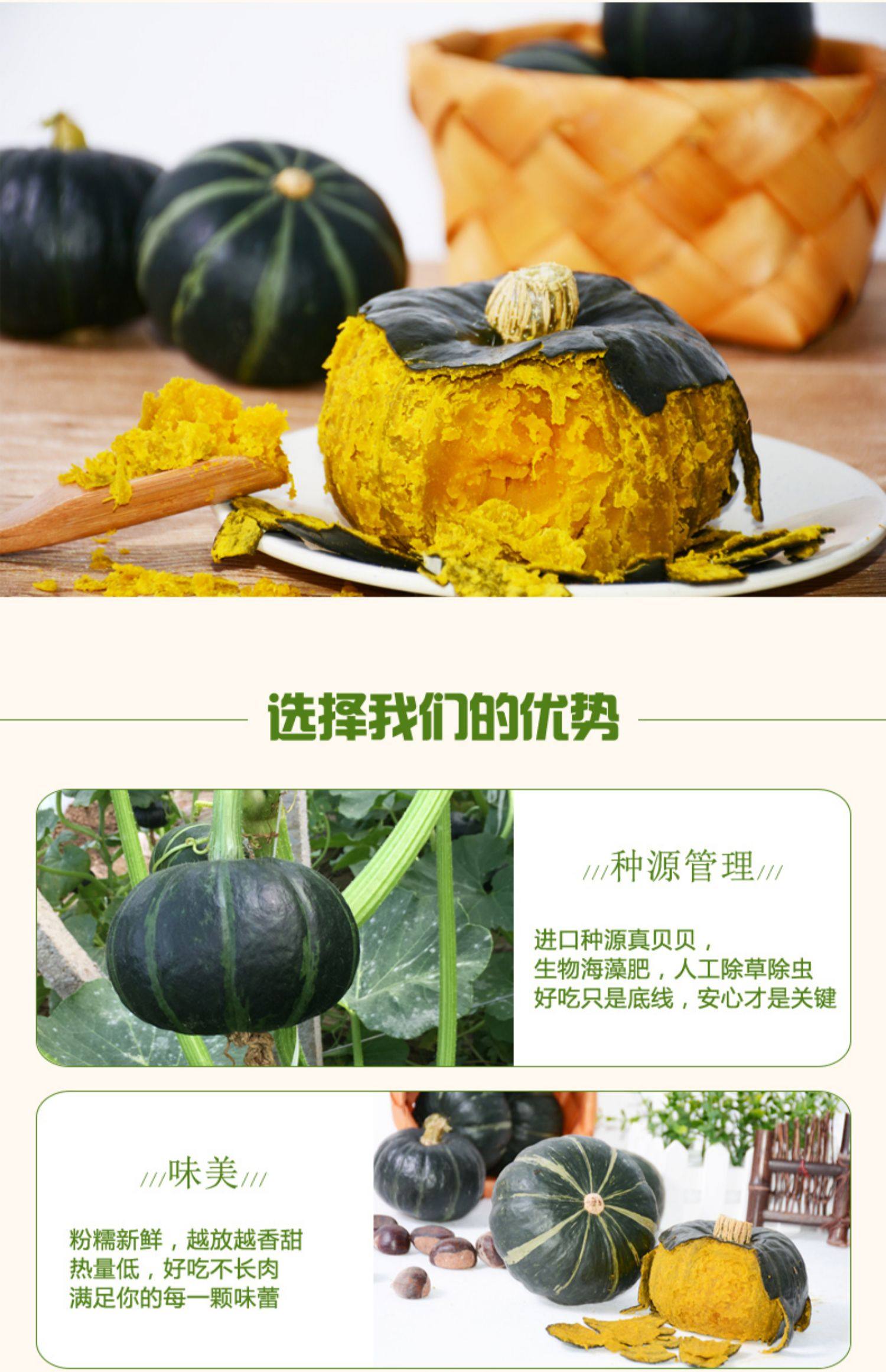 Beibei Pumpkin Chestnut Flavor Beibei Small Pumpkin 5 Jin [Jin equals 0 ...