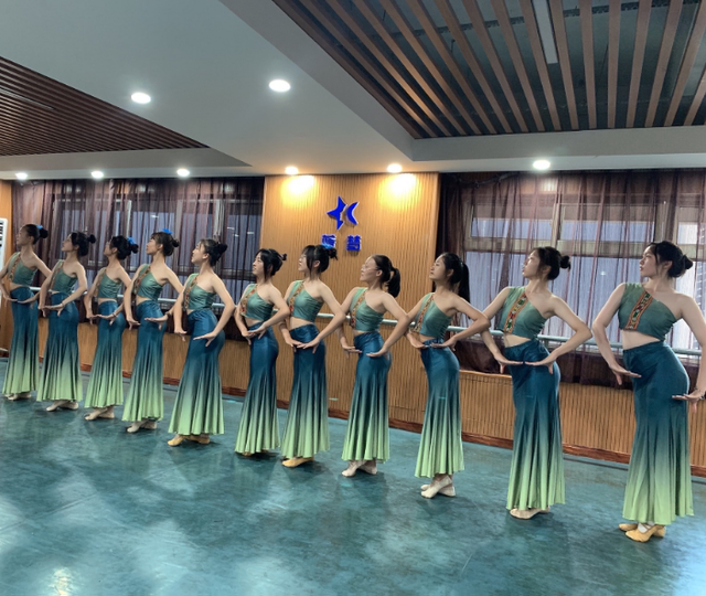 Adult Dai dance clothing peacock dance fishtail skirt practice dance ...