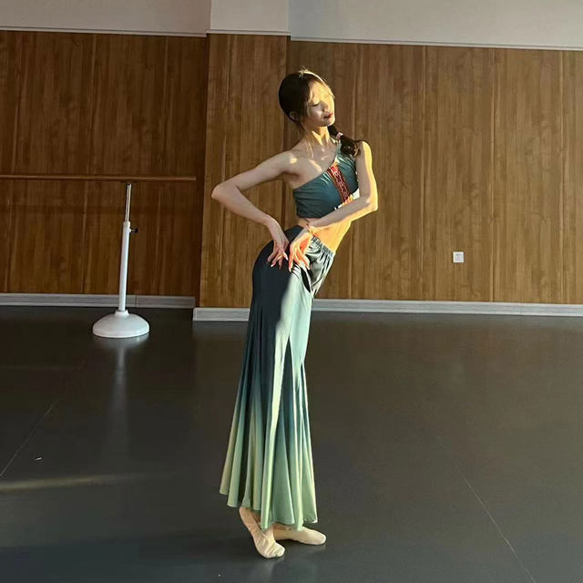 Adult Dai dance clothing peacock dance fishtail skirt practice dance ...