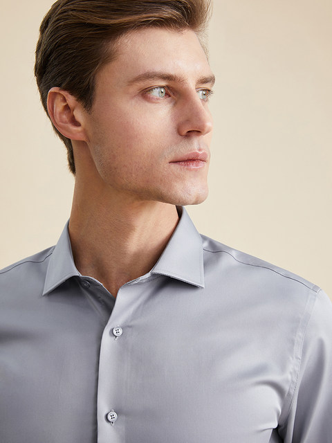 Shirt men's long -sleeved cotton free hot high -end business casual ...