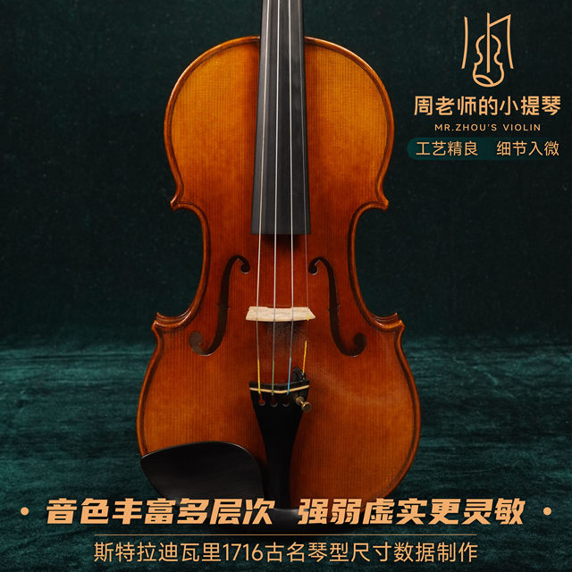 Performing European materials professional handmade violin Bohemian ...
