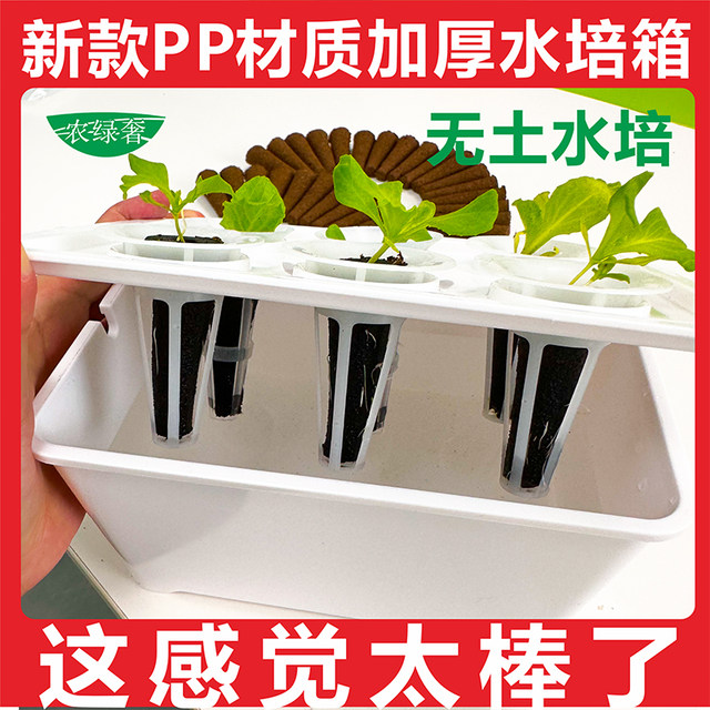 Hydroponic box soilless cultivation equipment family balcony vegetable ...