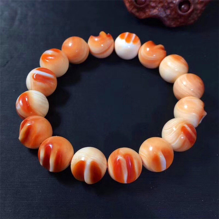 Three major snail blood shells Hallowei hand string blood shell giant ...