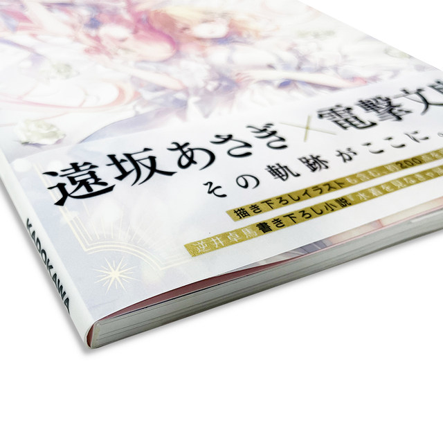 Original Japanese Tohsaka Art Collection Lumiere Tohsaka Asagiri Art Collection KADOKAWA Tohsaka ...